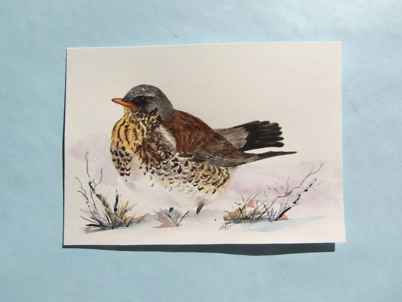 Fieldfare Thrush Watercolor Painting Original Artwork 5 X 7 - Etsy