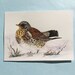 Fieldfare Thrush Watercolor Painting Original Artwork 5 X 7 - Etsy