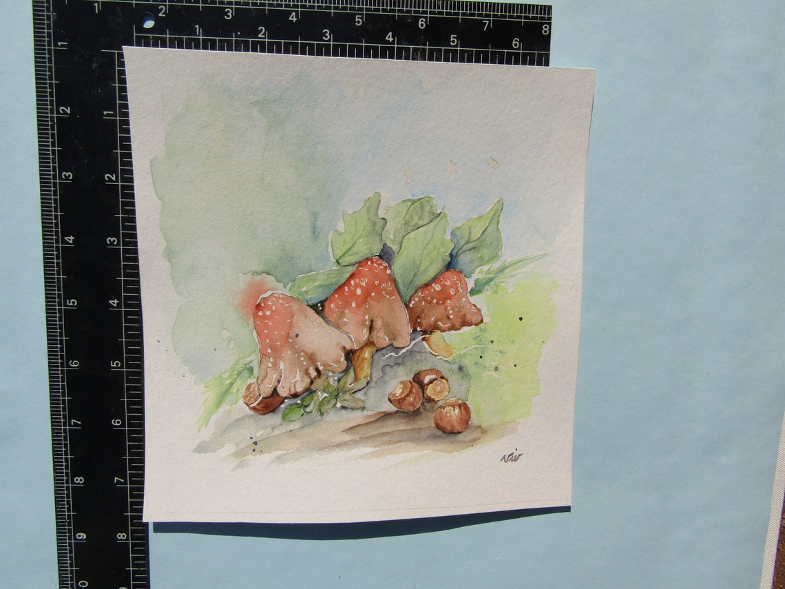 Mushroom or Toadstool Unframed Original Watercolor Painting - Etsy