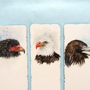 Eagle Bookmarks, Set of 3 Original Watercolor Birds, Hand Painted Busts ...