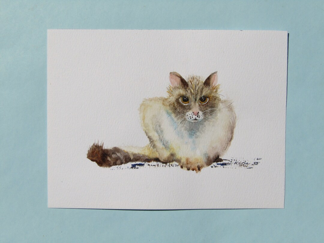 Fluffy Angry Cat Painting, Original Watercolor 8 X 6 Inches, Artwork by ...