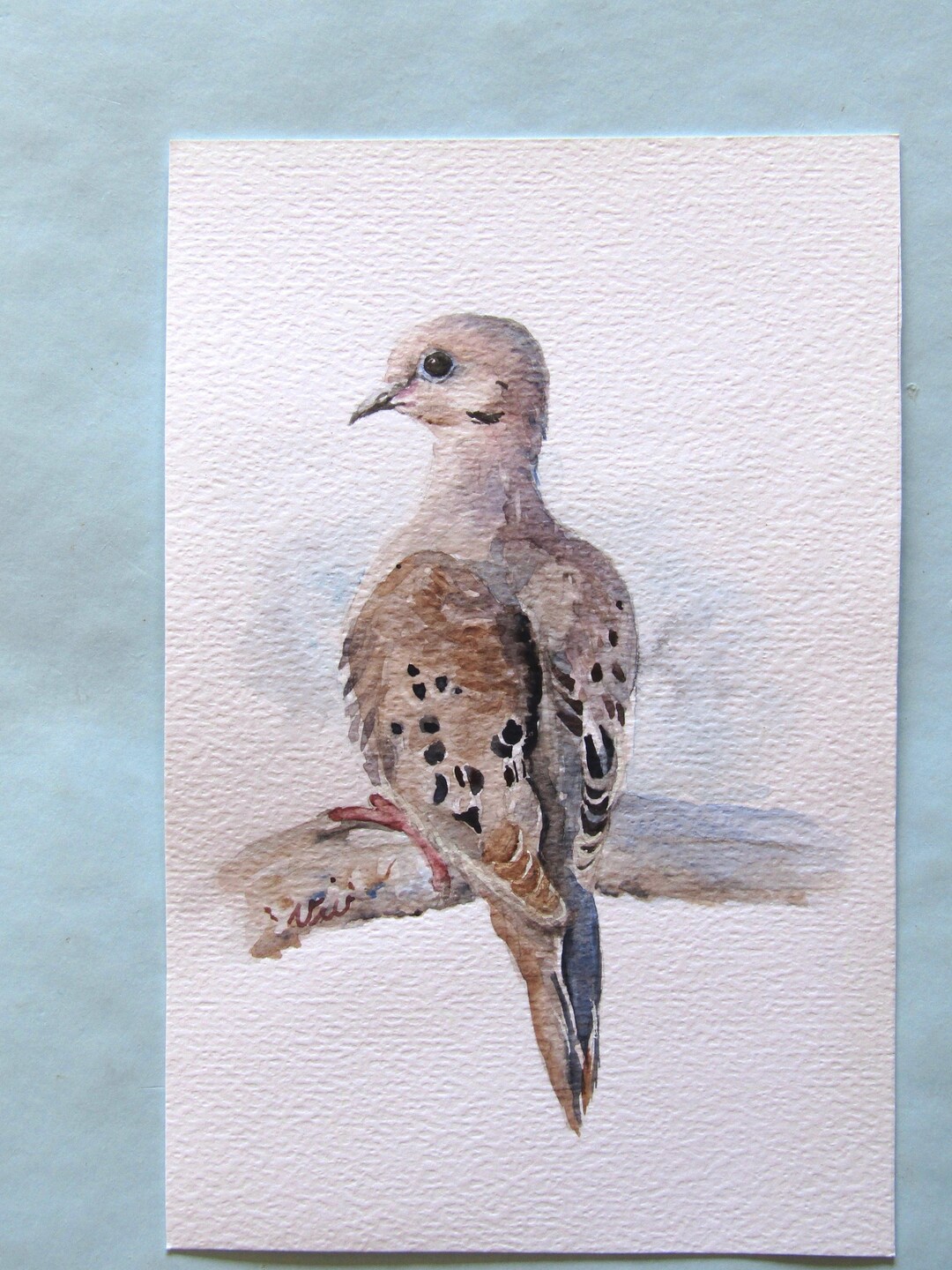 Mourning or Turtle Dove Original Watercolor Painting, 5 X 7 Inches Wall ...