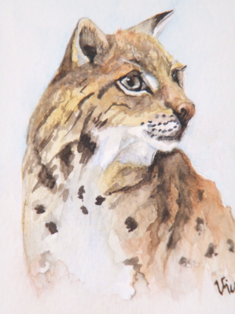 Lynx Painting Original Watercolor of a Eurasian Lynx - Etsy