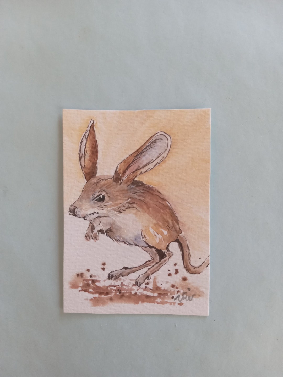 Line and Wash Jerboa, Mini Painting, Original Watercolor, ACEO ...