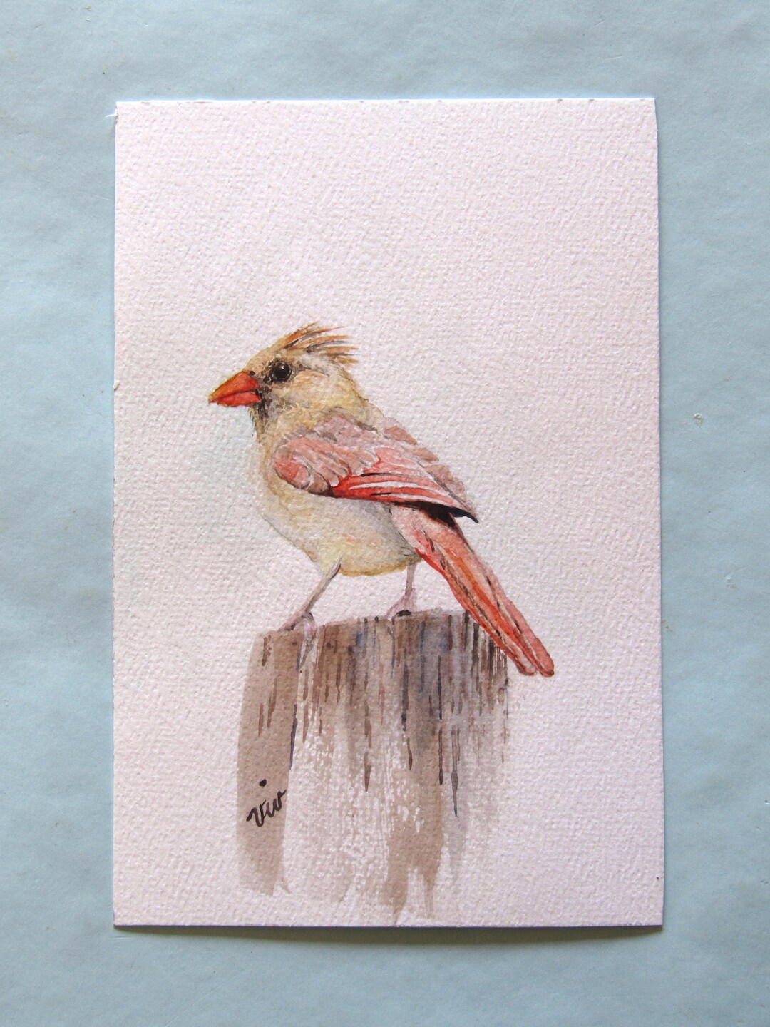 Female Northern Cardinal Watercolor Painting 5 X 7 Inches - Etsy