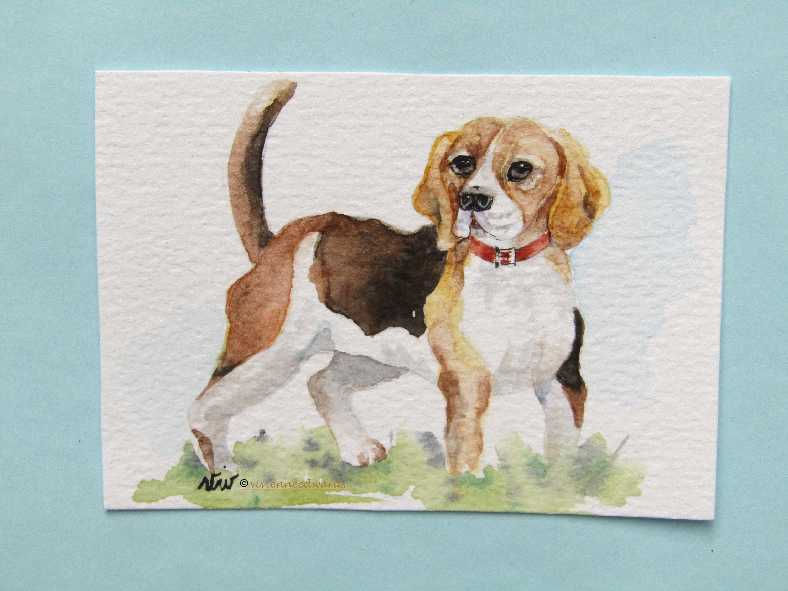 ACEO P B B M L Dog M US $0.99 mertkomak.com