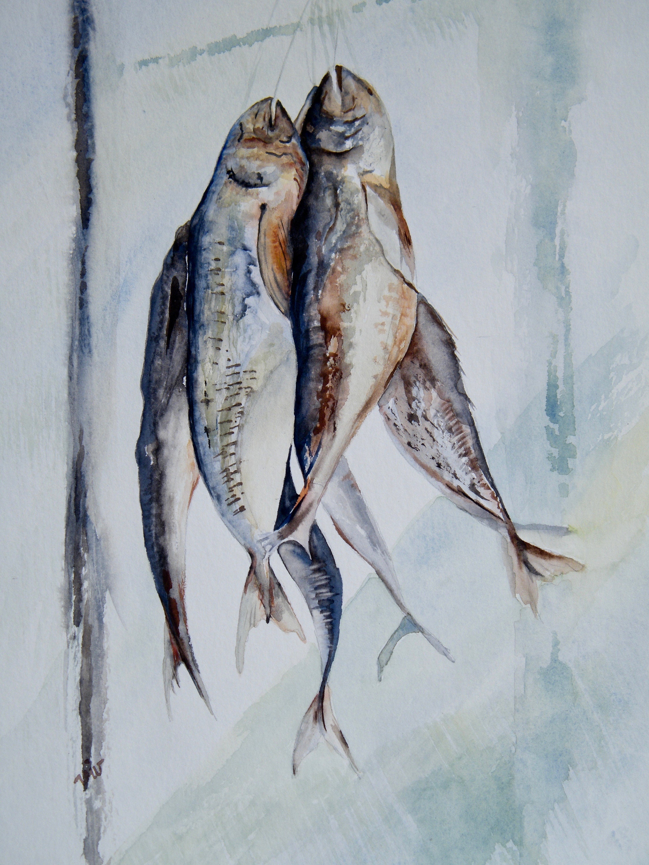 Dried Fish Drawing
