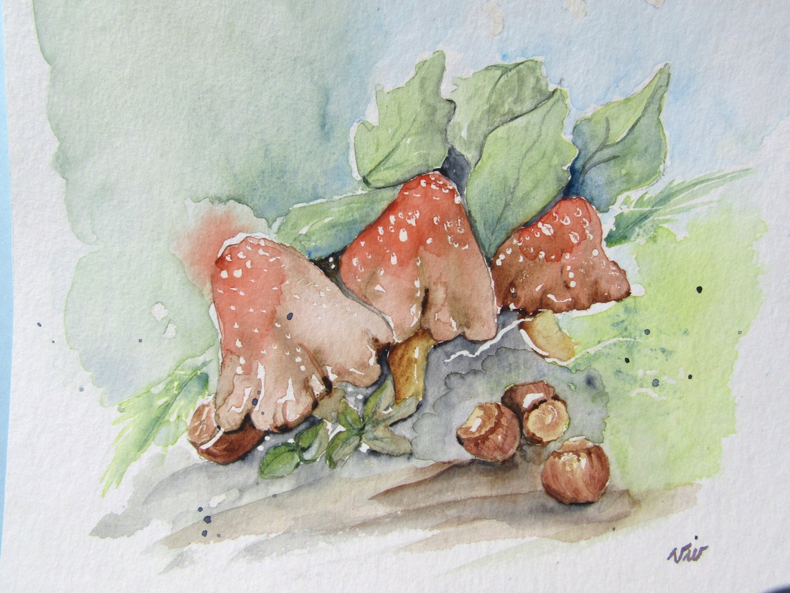 Mushroom or Toadstool Unframed Original Watercolor Painting - Etsy