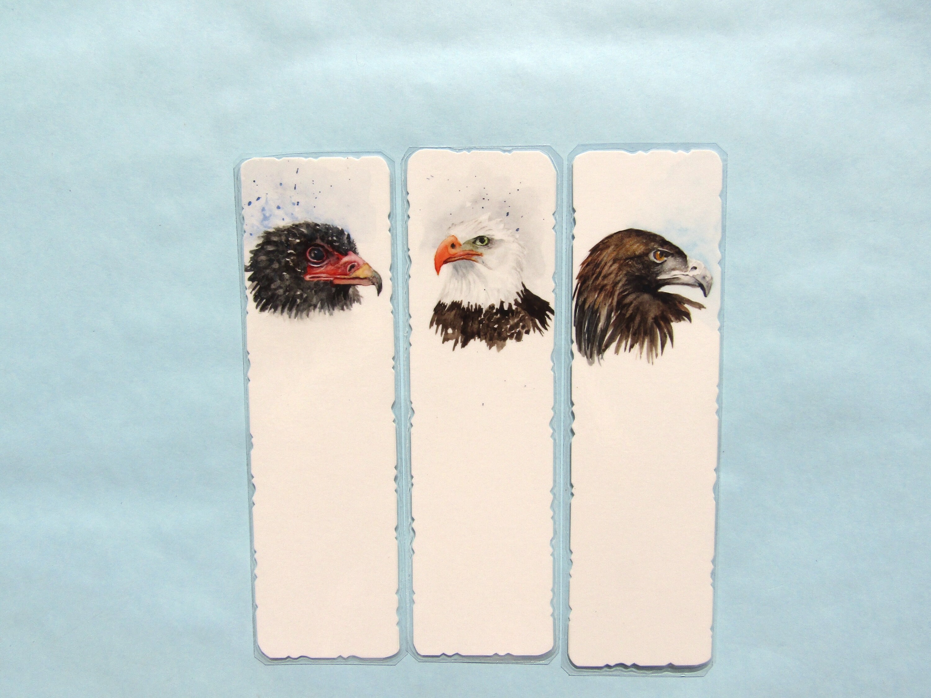 Eagle Bookmarks, Set of 3 Original Watercolor Birds, Hand Painted Busts ...