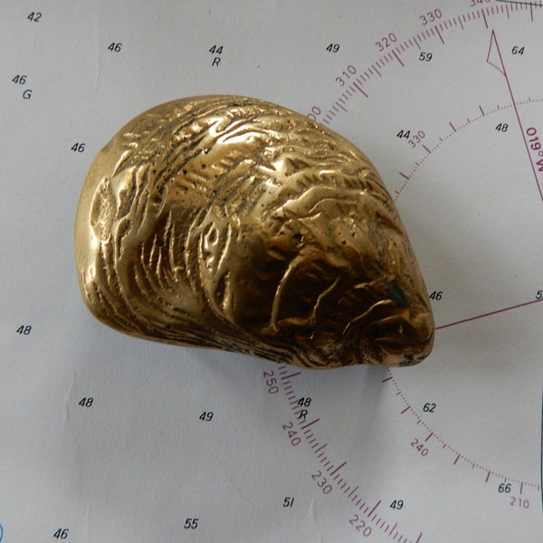 Mens Oyster Shell Belt Buckle - Etsy