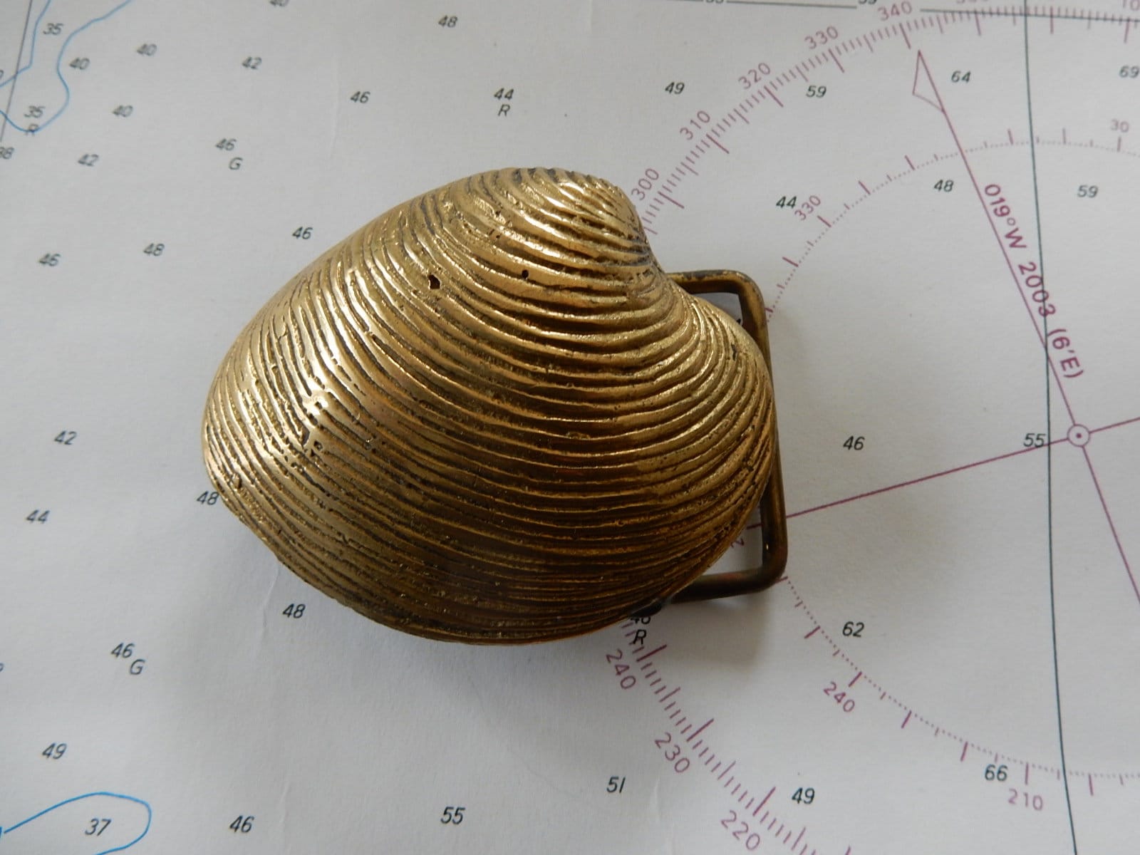 Vintage Solid Brass Clam Shell Belt Buckle/nautical - Etsy