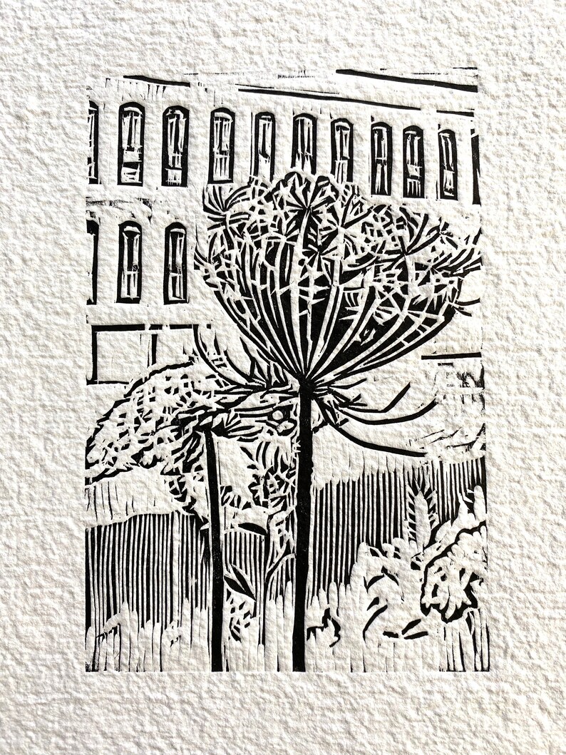 Queen Anne's Lace & Mass Moca. Woodcut on Hand Made Cotton Paper. 4x6 ...