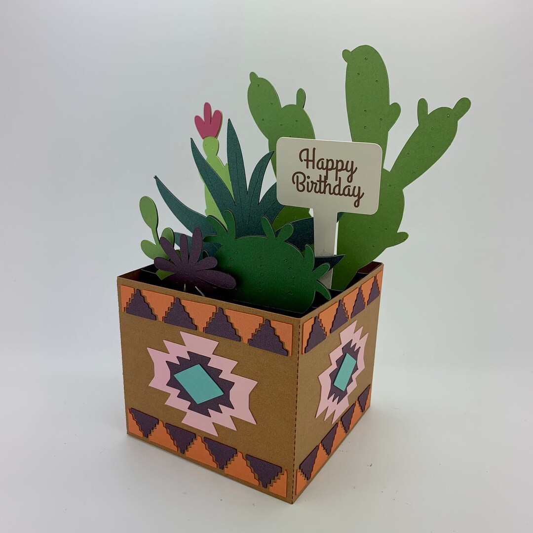 3D Southwestern Cactus Birthday Card, Box Card With Succulents - Etsy