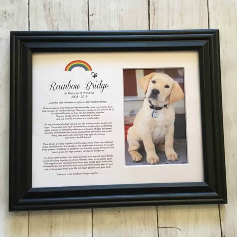 Rainbow Bridge Frame Dog - Etsy