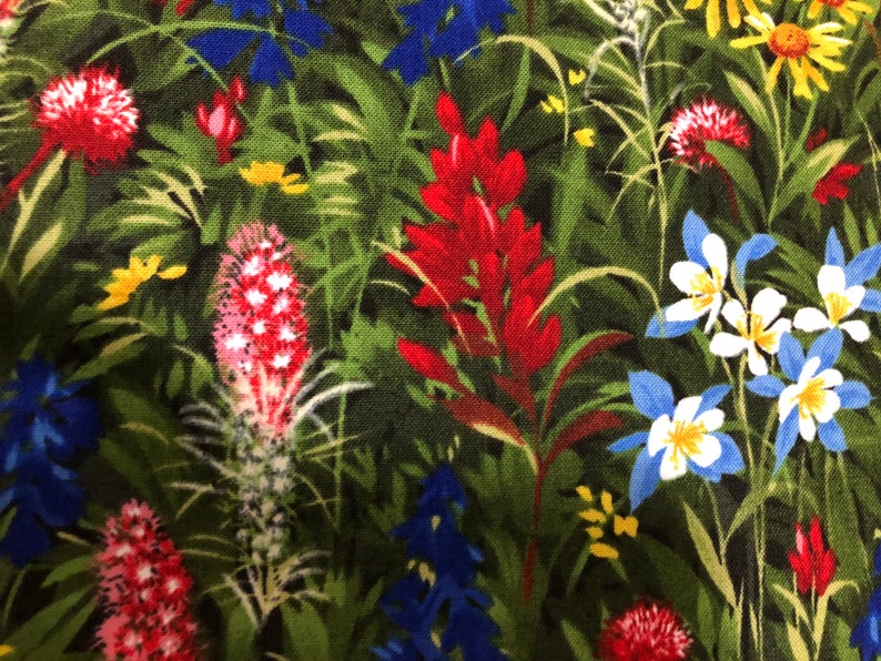 Wildflower Basics Favorites; Bluebonnets and Indian Paintbrush; Fabric ...