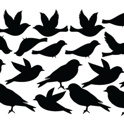 Bird Wall Decal Stickers Peel and Stick Decor Flying Sitting | Etsy