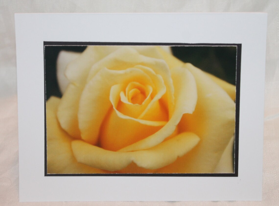 Photo card yellow rose photography | Etsy