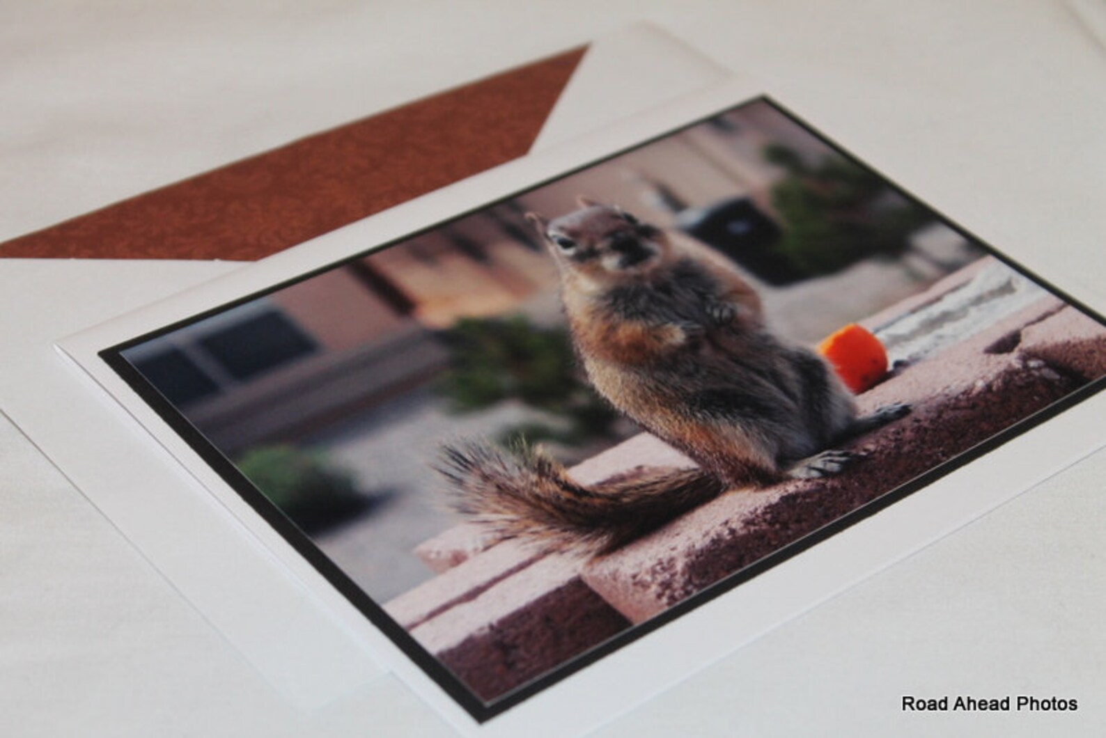 Photo Card Chipmunk Photograph Card Wildlife - Etsy