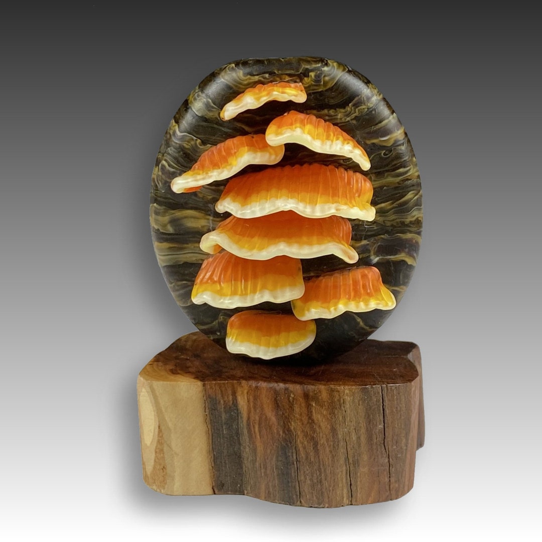 Glass Bead Chicken-of-the-woods Fungus - Etsy