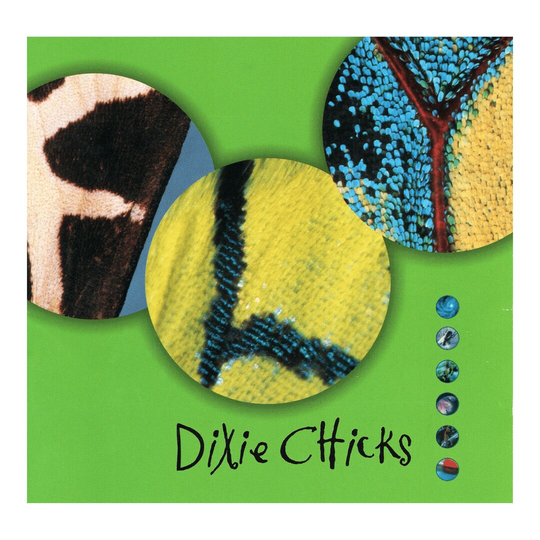 CD: Dixie Chicks---fly - Etsy