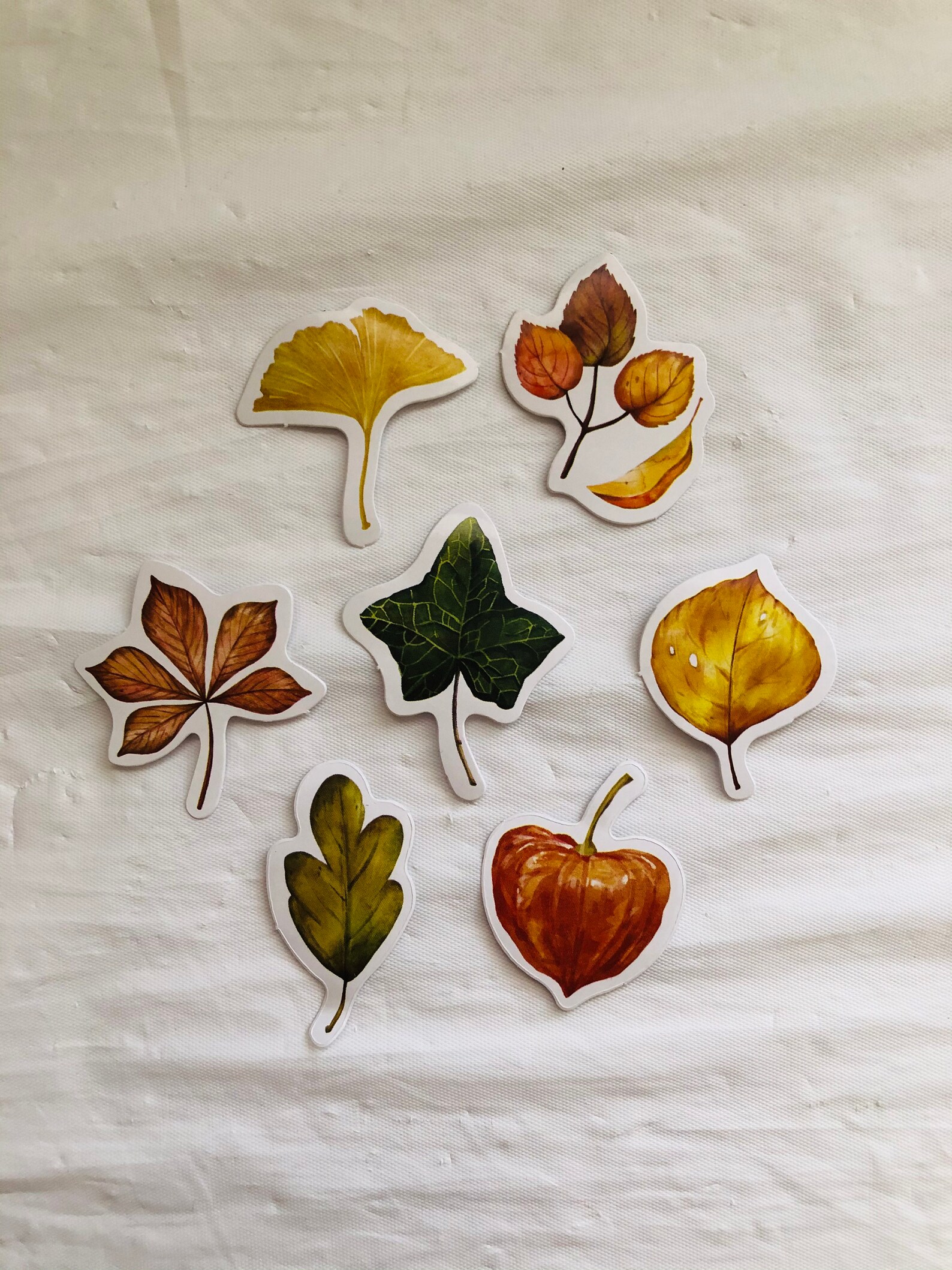 46 Fall Leaves Stickers - Etsy