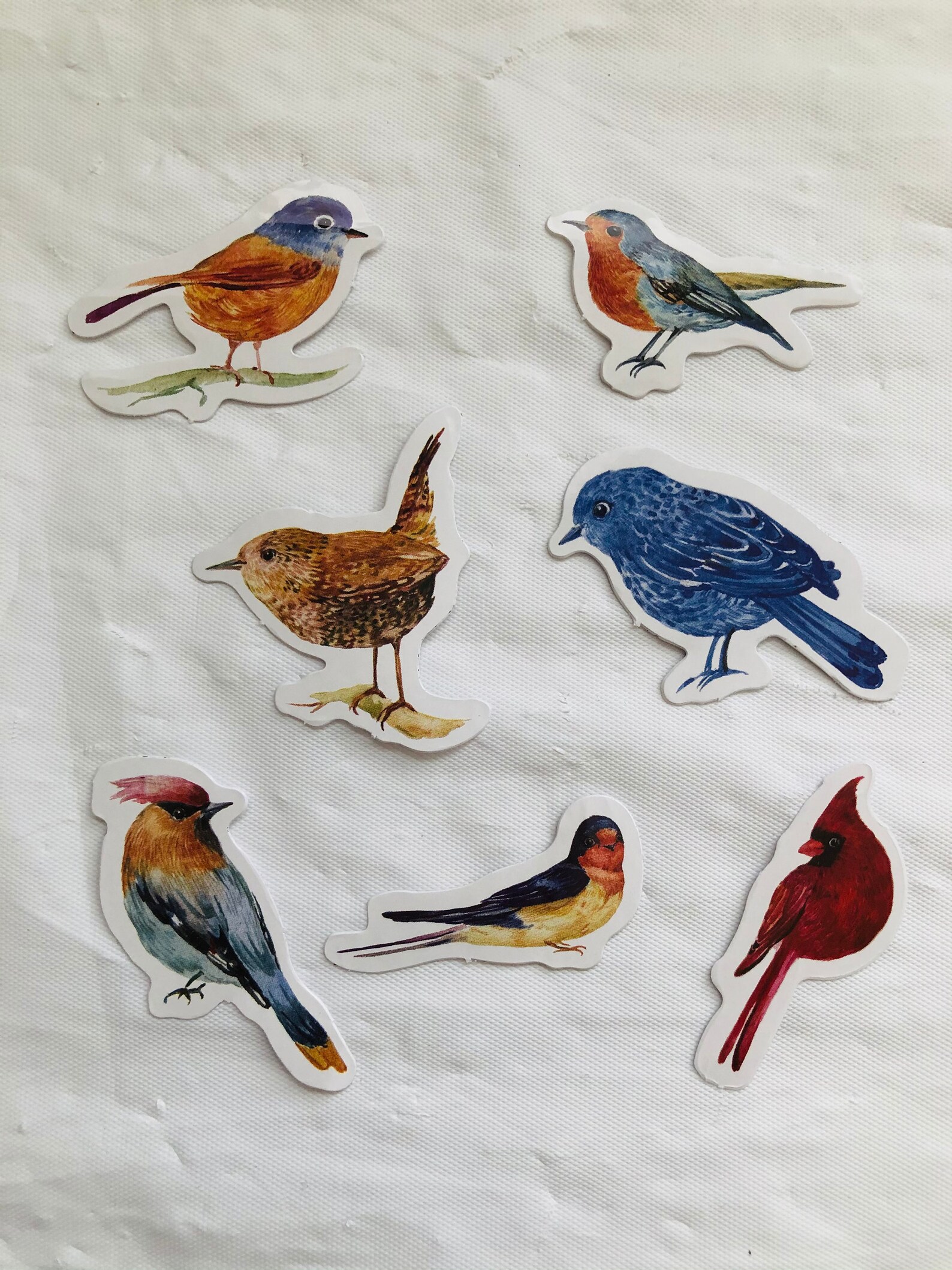 46 Bird Stickers - Etsy