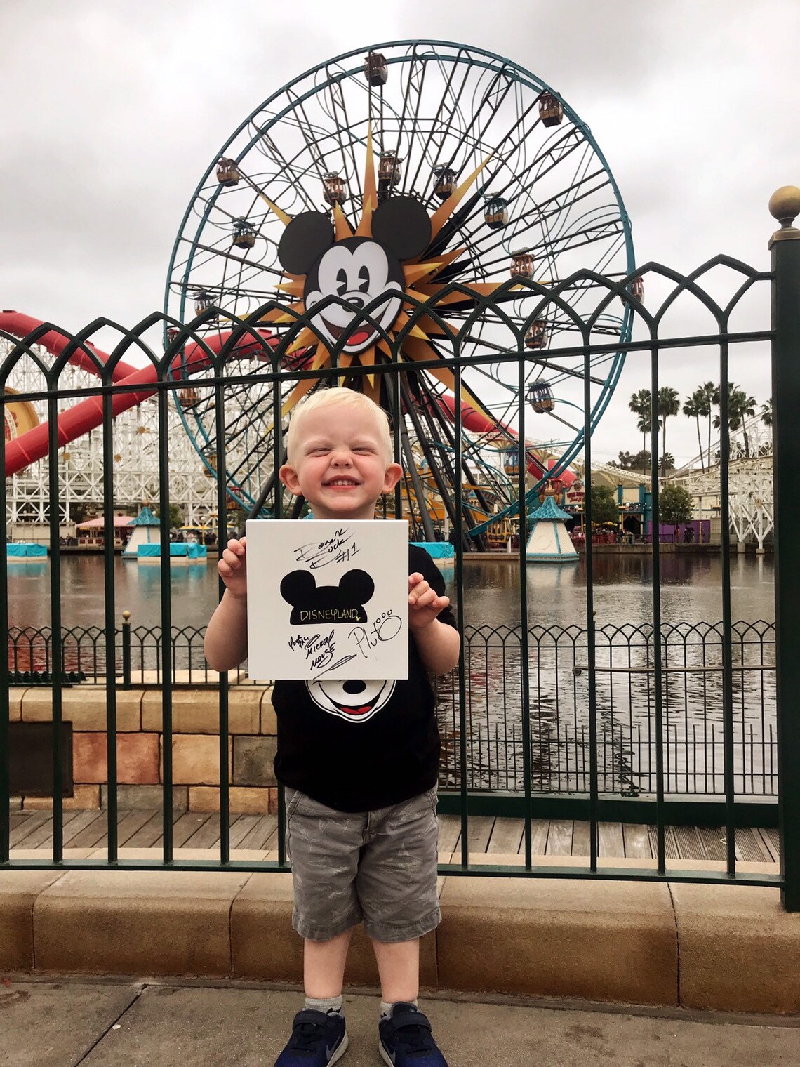 Custom Character Autograph Board Disney Character Autograph - Etsy