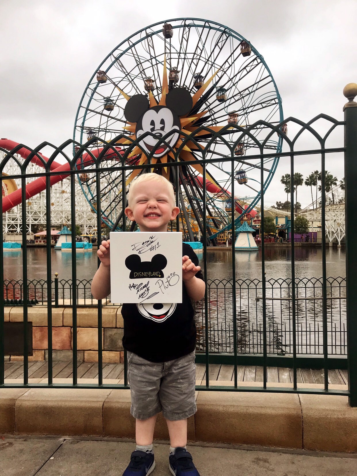 Custom Character Autograph Board, Disney Character Autograph Board ...