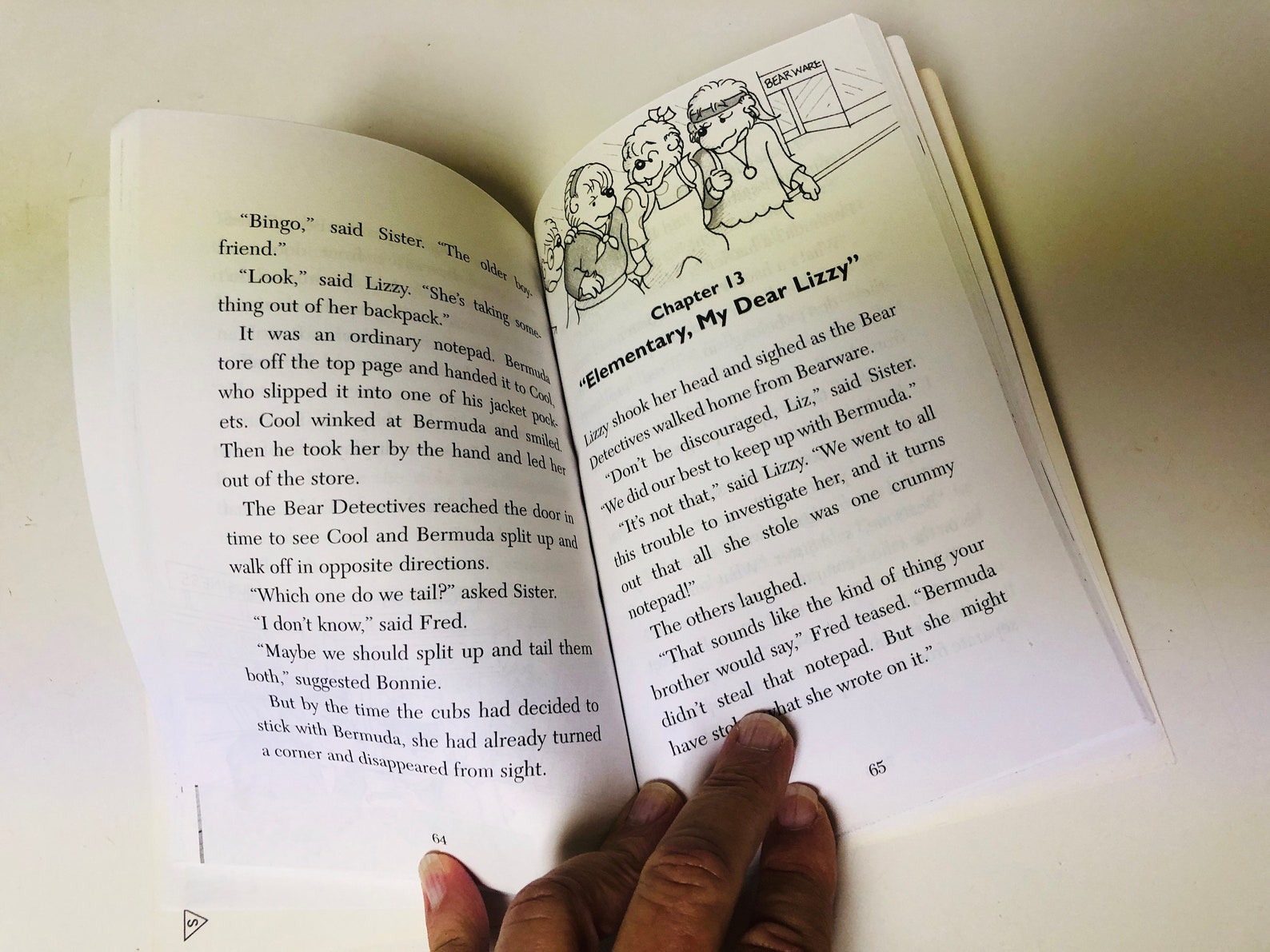 Berenstain Bears 2 Children's Books school Scandal | Etsy