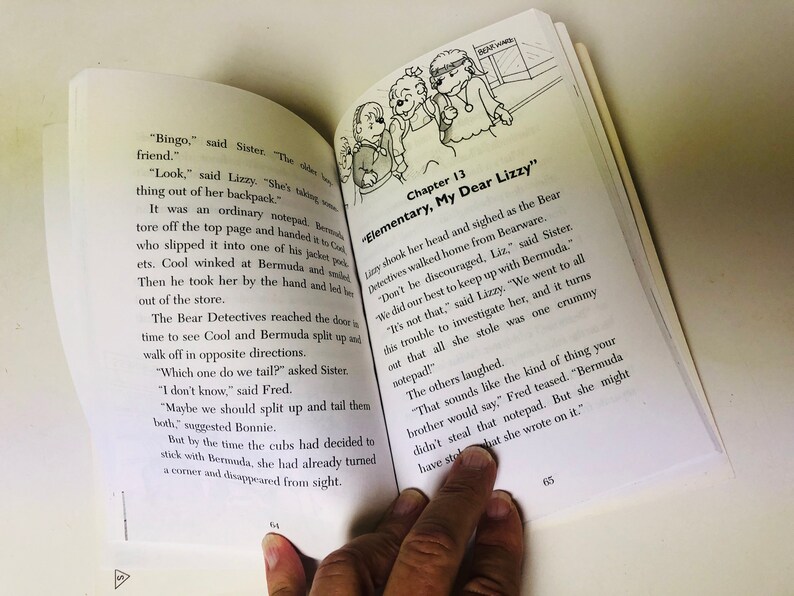 Berenstain Bears 2 Children's Books school Scandal | Etsy