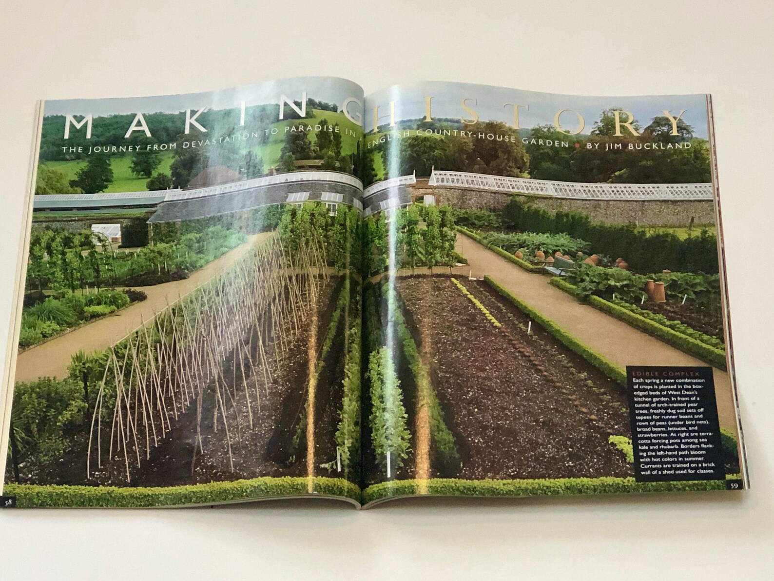 Garden Design Magazine 3 Back Issues 1998/99 What's - Etsy