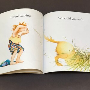 I Went Walking - Sue Williams - Julie Vivas - Voyager Books 1989 ...