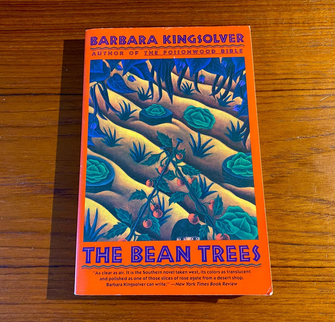 The Bean Trees - Barbara Kingsolver - Southern Novel - Fiction Book ...
