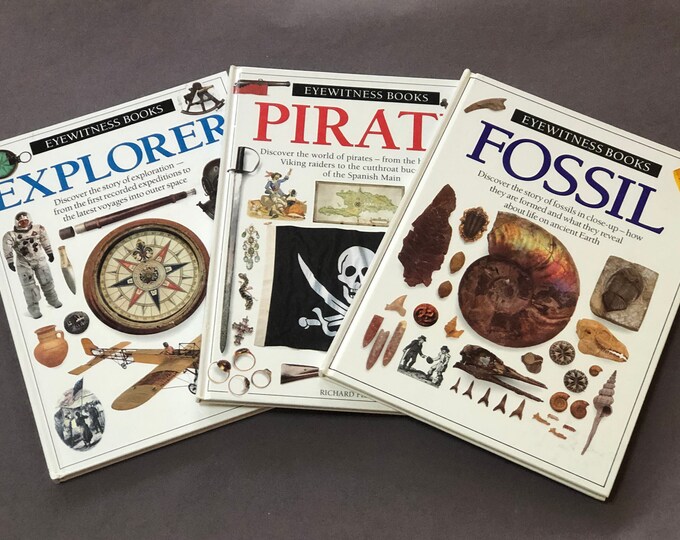 Eyewitness Books for Children - Explorer - Pirate - Fossil - DK 1990's ...