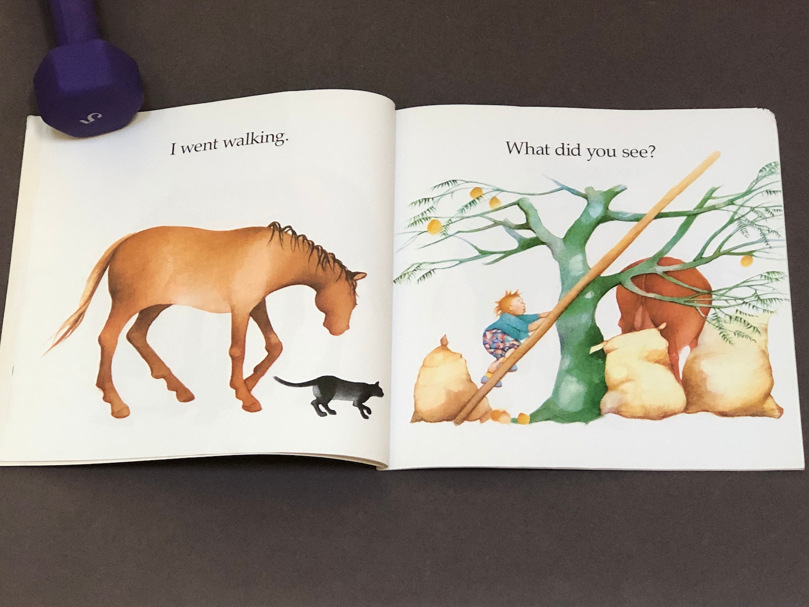 I Went Walking Sue Williams Julie Vivas Voyager Books | Etsy