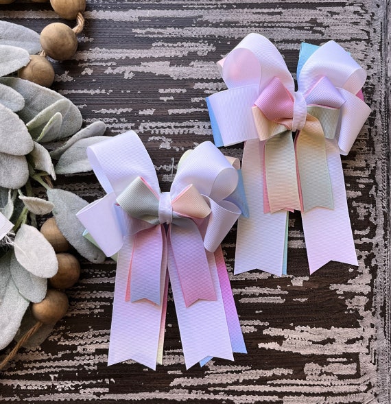 Ready to ship monogramed pastel rainbow ombré equestrian horse show ...