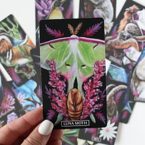 Shadowseeker ORACLE Deck | Dark Oracle Deck With Animals, Flowers ...