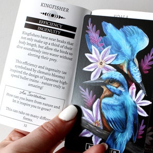 Shadowseeker ORACLE Deck | Dark Oracle Deck With Animals, Flowers ...