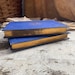 Brilliant Blue Antique Poem Books 1854 Gold Edge Book Pages Bryant ...