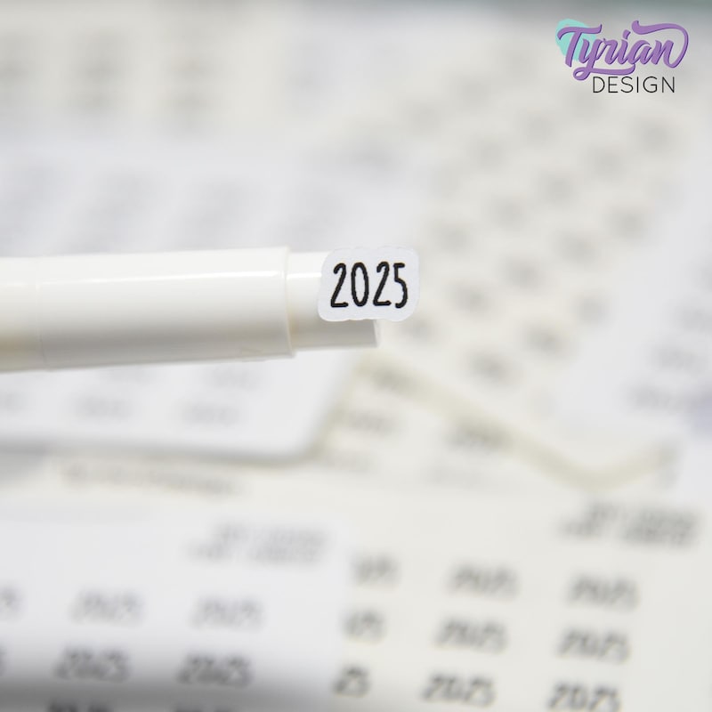 Small Vinyl 2025 Sticker - Etsy