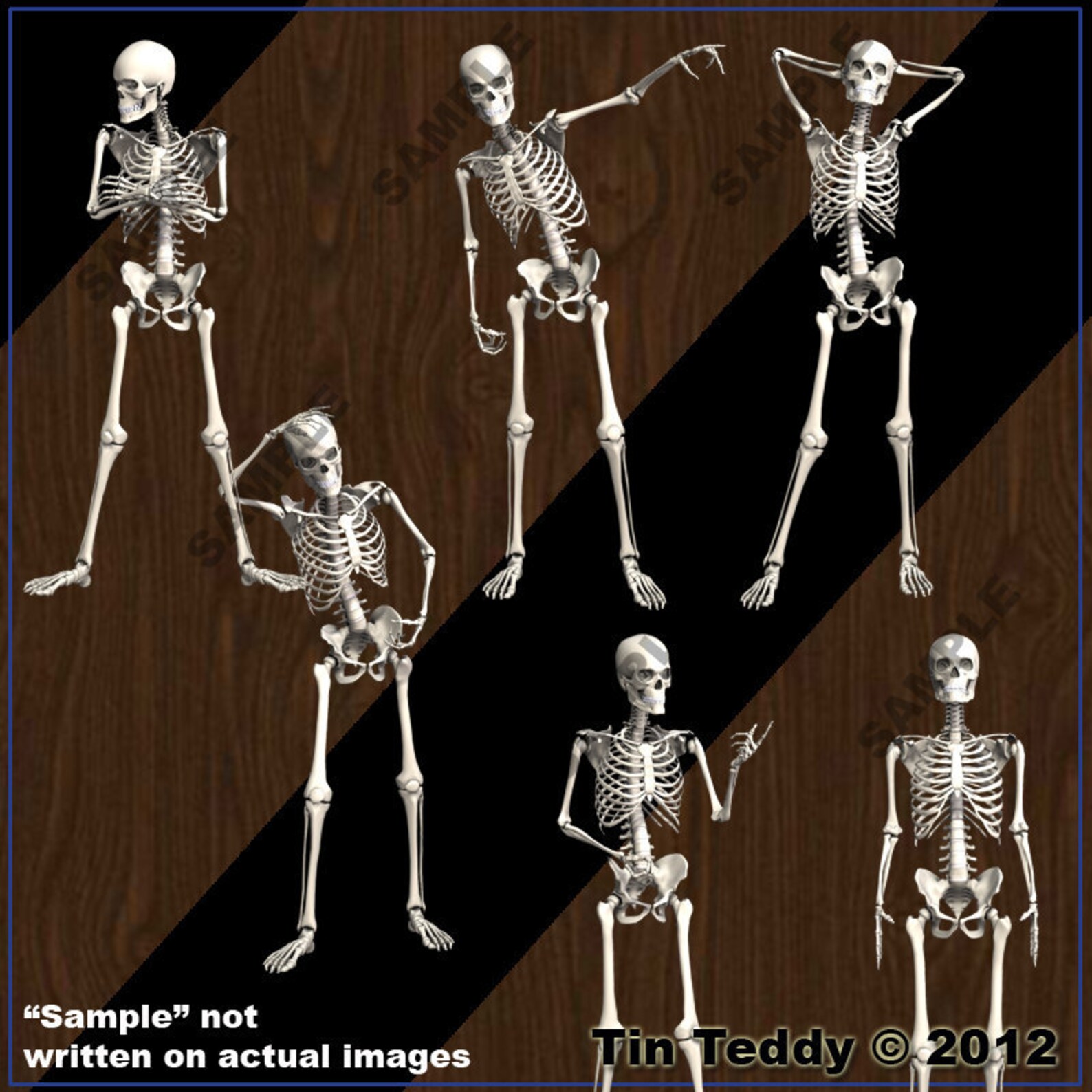 Skeletons Digital Clip Art - 14 Boney Images for Scrapbooking, Birthday ...