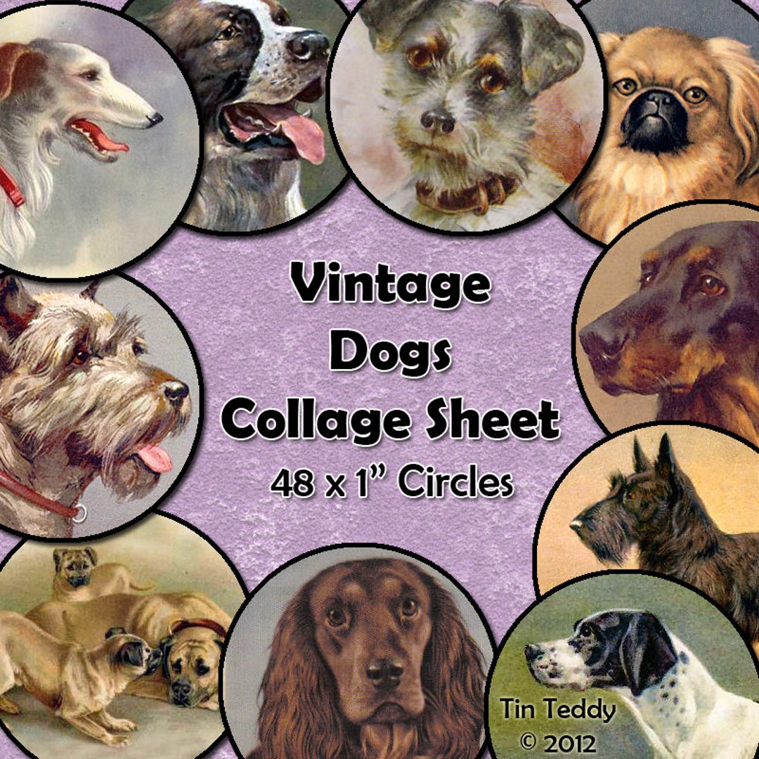 Vintage Dogs Digital Collage Sheet - 1 Inch Dog Circles X 48, for ...