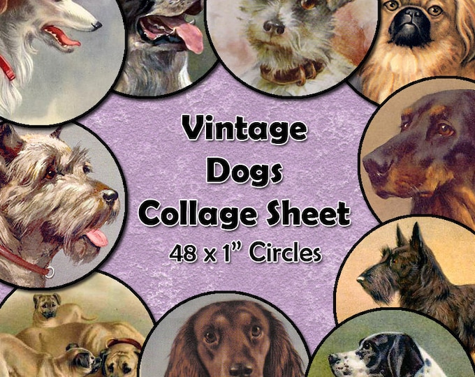 This item is unavailable - Etsy