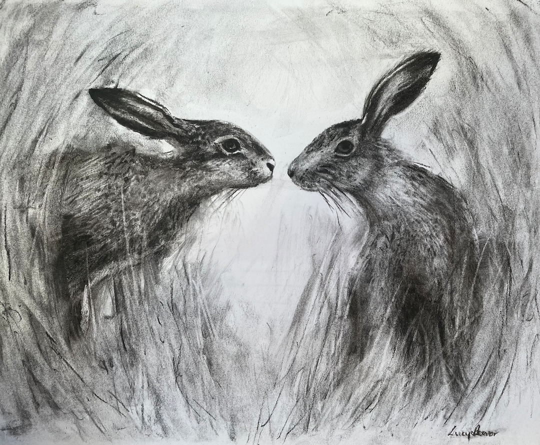 Original Hare Charcoal Drawing Art. Wildlife Art. Original Hare ...