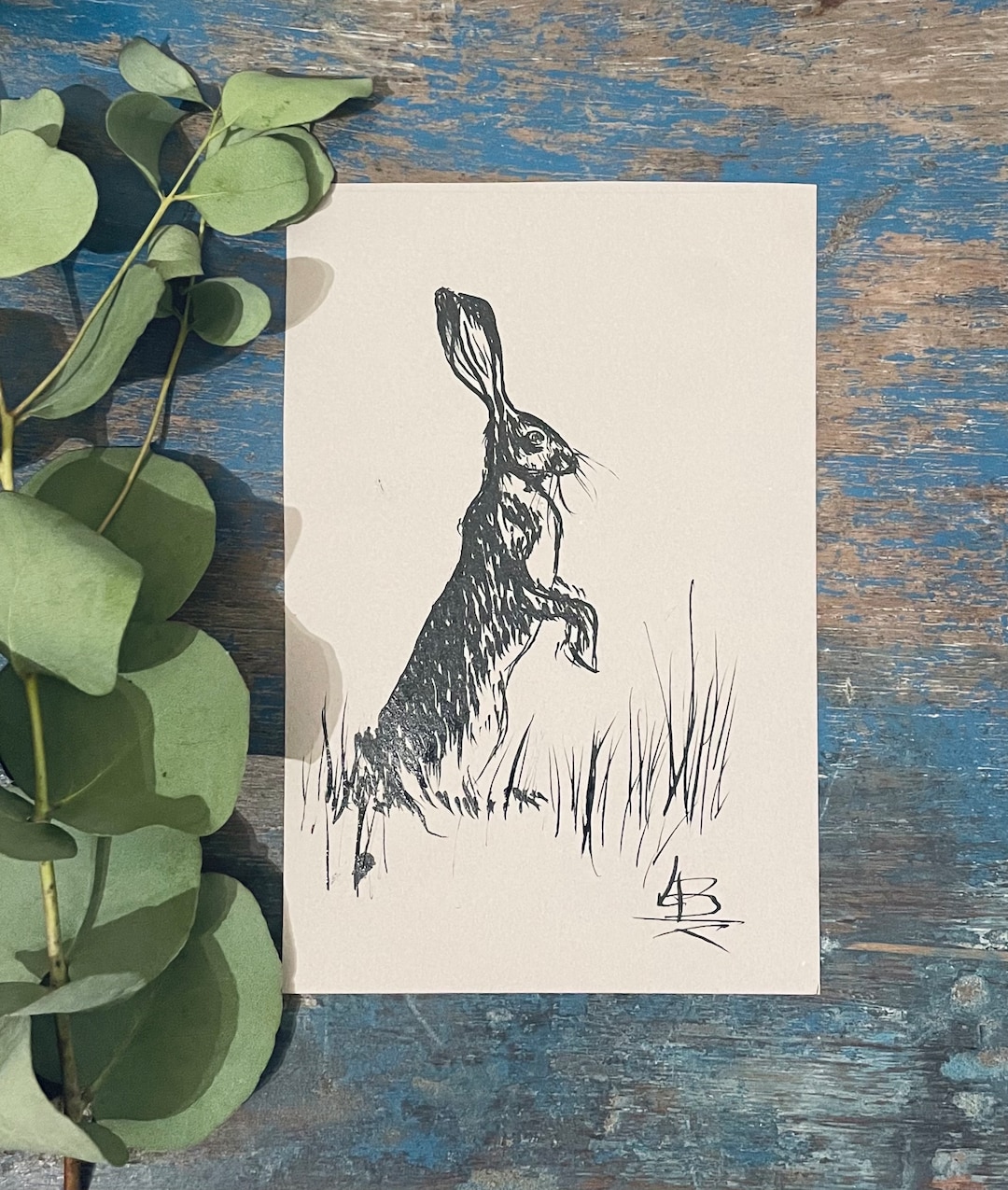 Original Hare Leveret Ink Drawing Art. Wildlife Art. Original Unframed ...