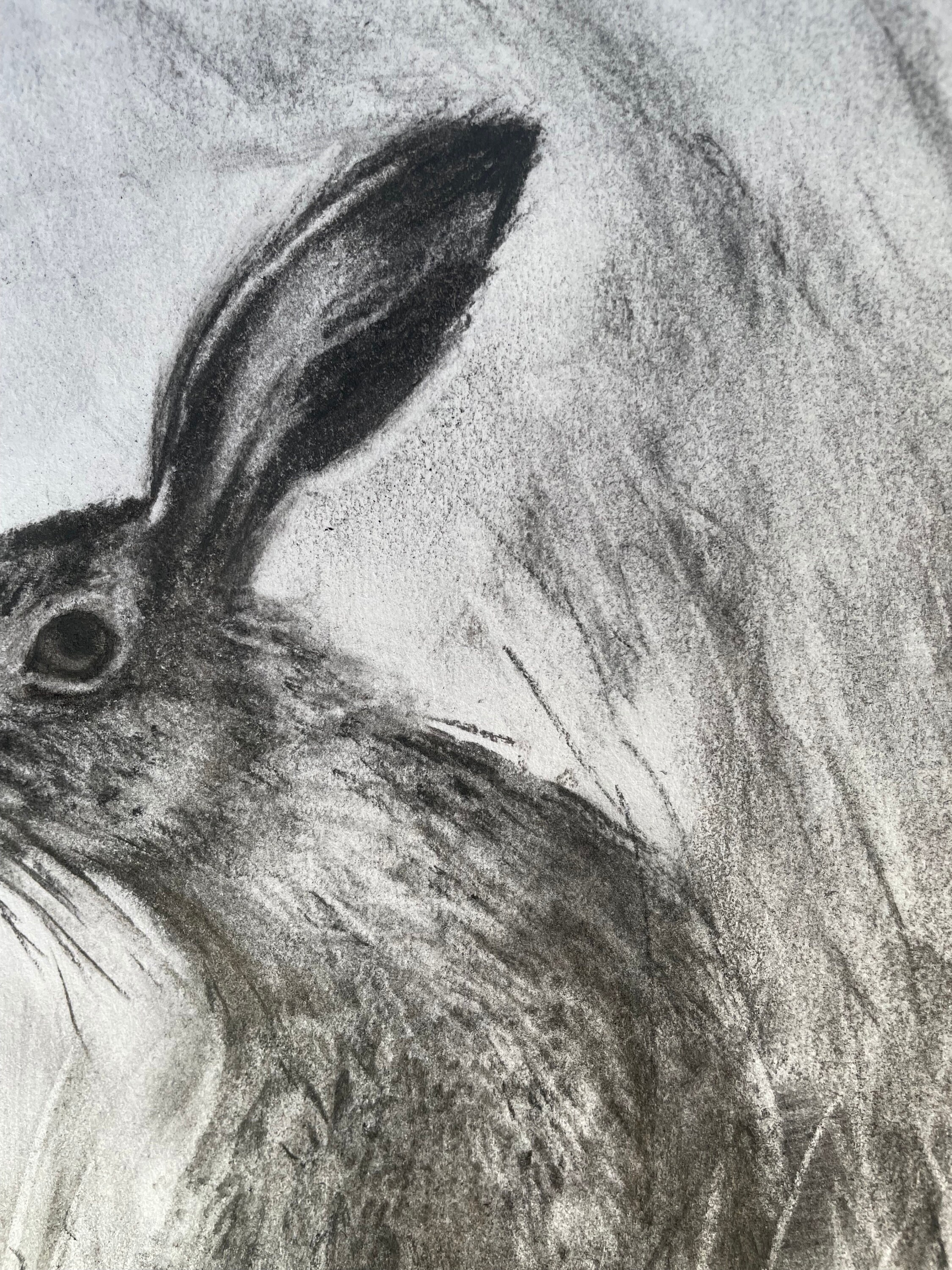 Original Hare Charcoal Drawing – British Wildlife Art – Hand‑drawn Fine ...