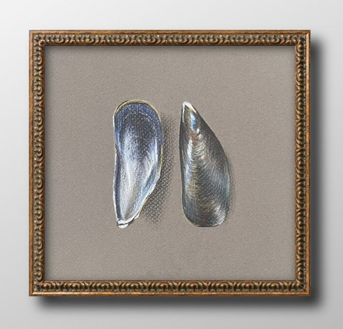 Muscle Shells Art Original Colour Pencil Drawing. Original Artwork ...