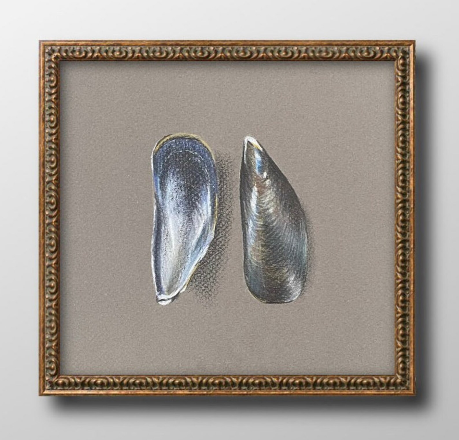 Muscle Shells Art Original Colour Pencil Drawing. Original Artwork ...