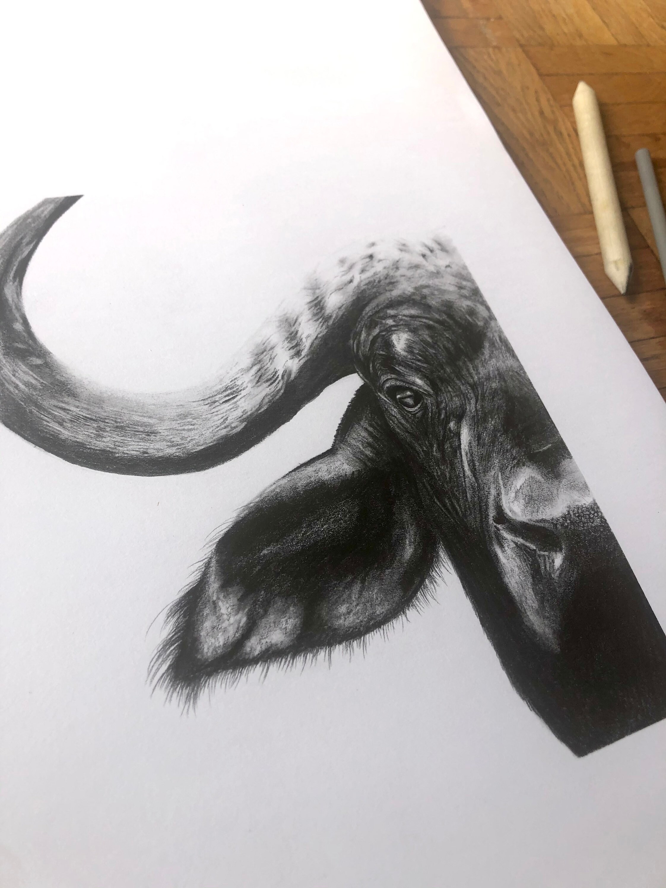 Original Buffalo Drawing Art, Bison, Buffalo, Abstract Animal Wall ...