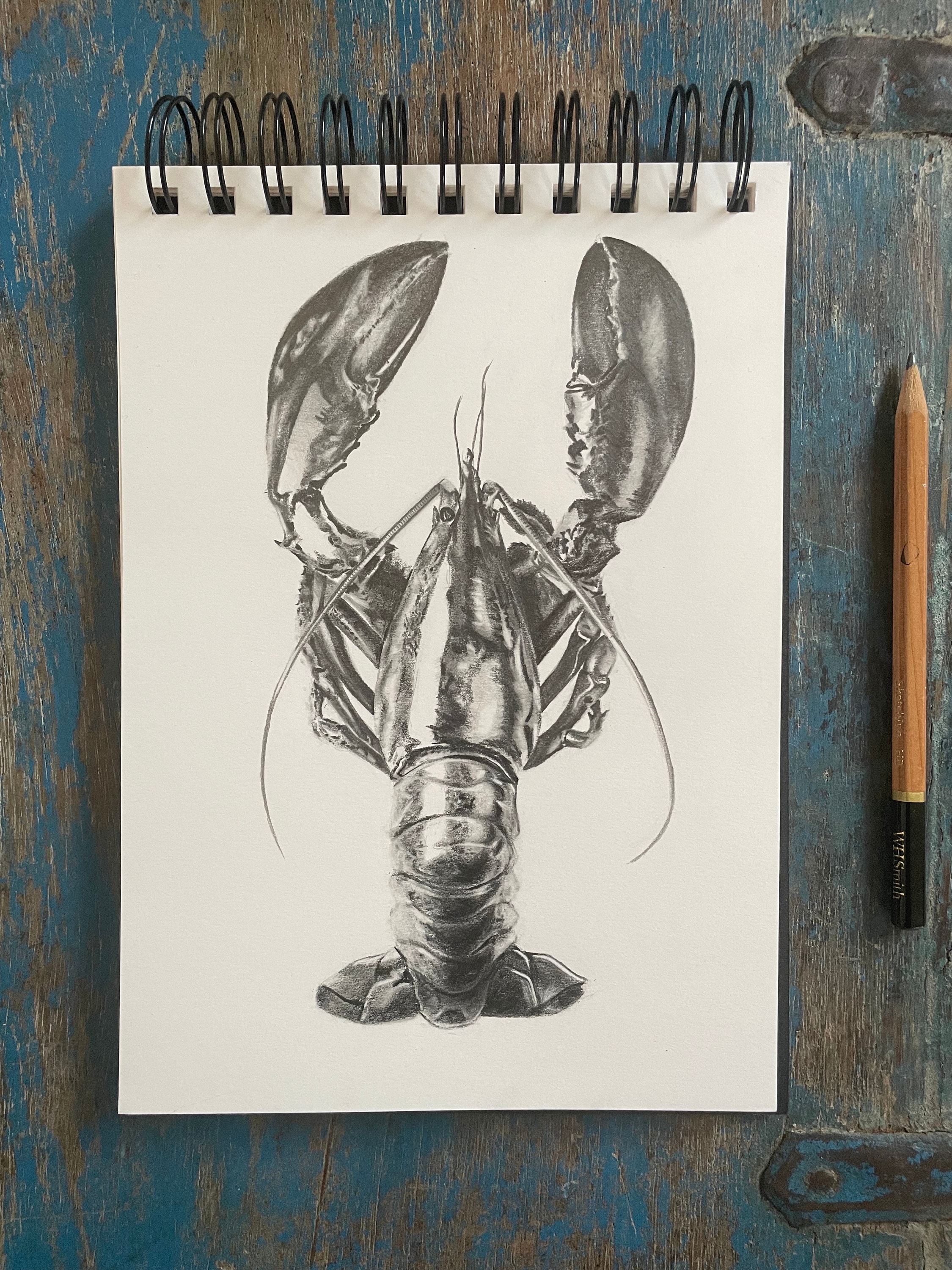 Lobster Original Pencil Drawing. Original Art Coastal Beach House ...